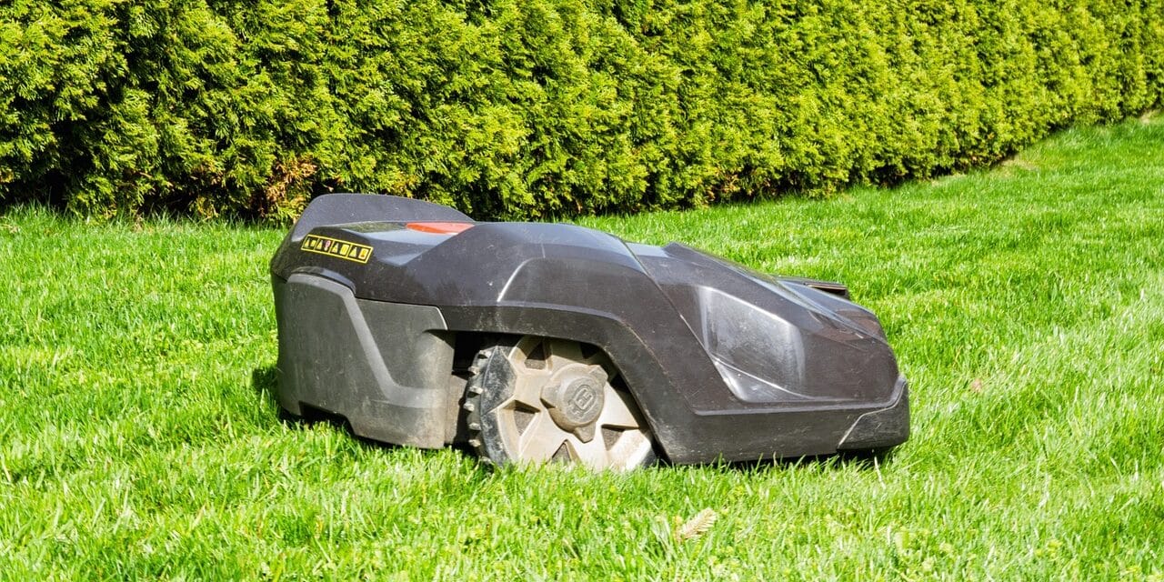 The 6 Best Robot Lawn Mower of 2025 | Tested & Reviewed