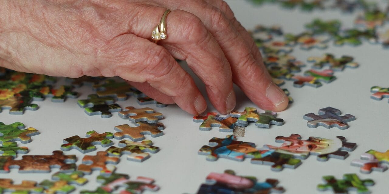 Best Jigsaw Puzzles for Seniors (2026) | Reviewed & Where to Buy